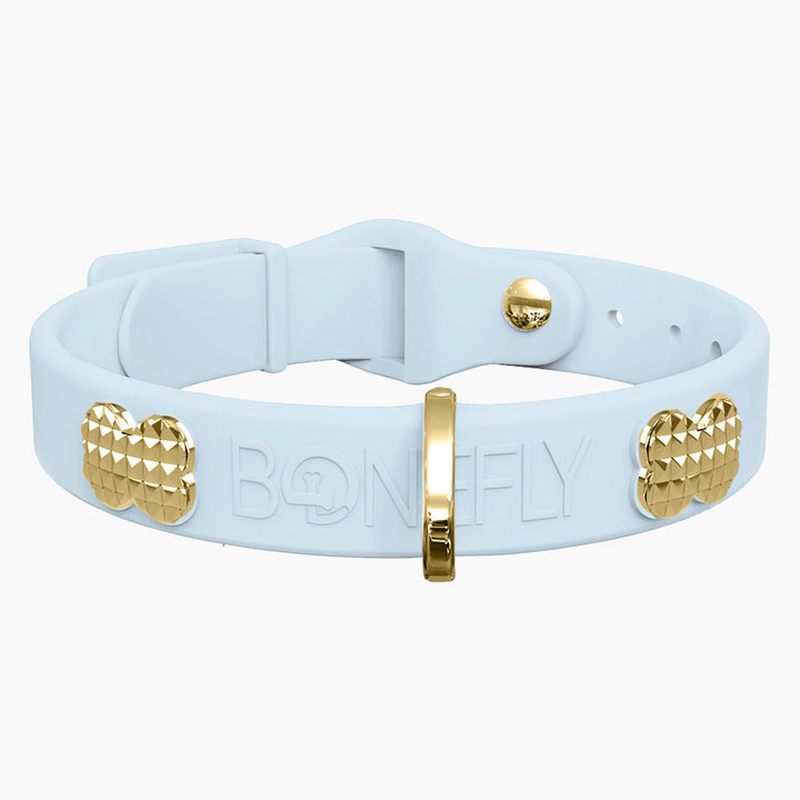 Spike Bone Collars – BoneflyChile
